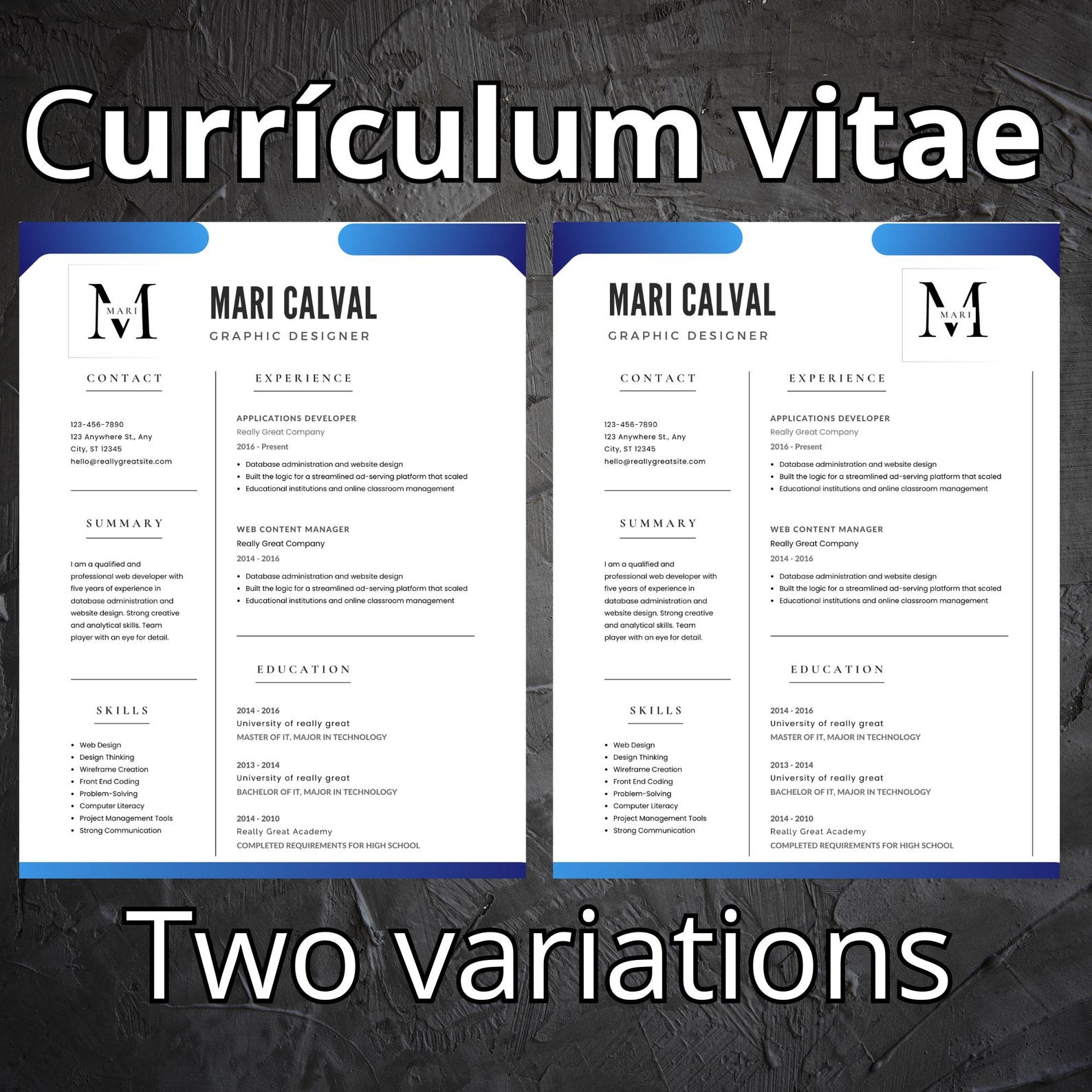 Editable and Customizable Curriculum Vitae Template | Professional CV ...