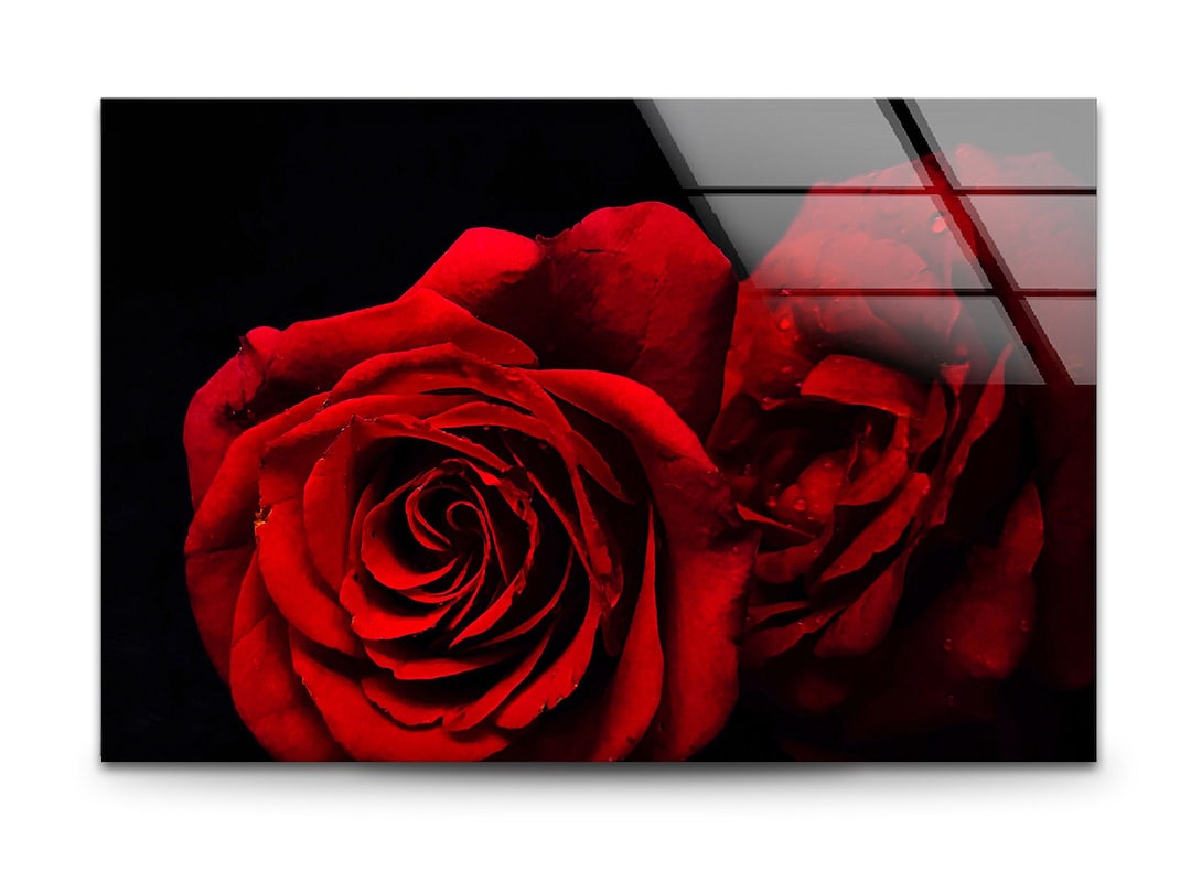 Tempered Glass Art-tempered Glass Wall Art-rose Wall Decor-flower Home ...