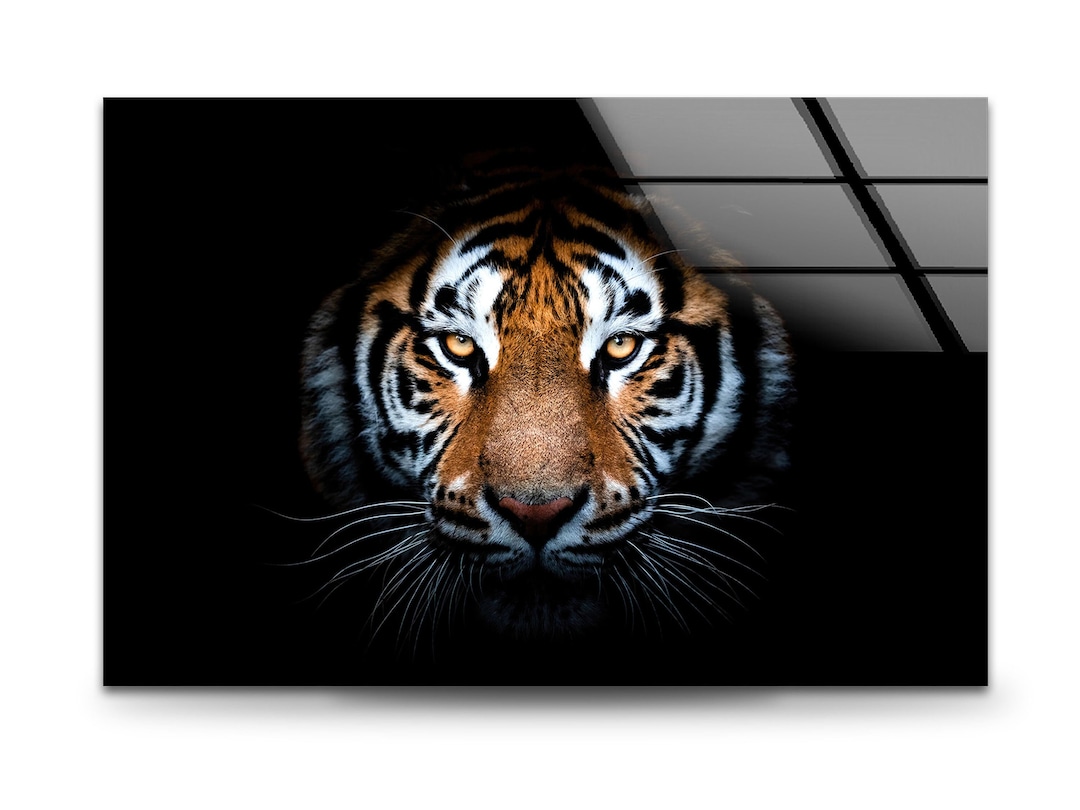 Tiger Face Tempered Glass Wall Art: Wild Animal Decor - Etsy