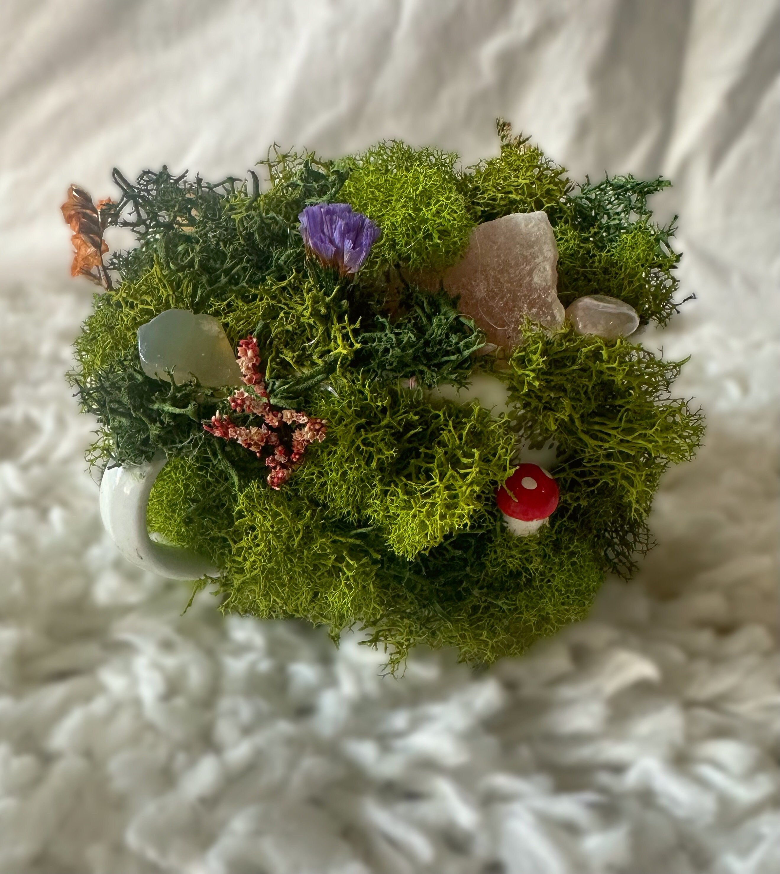 Vintage Maximalist Overgrown Teacup Moss Art, Mini Landscape Healing ...