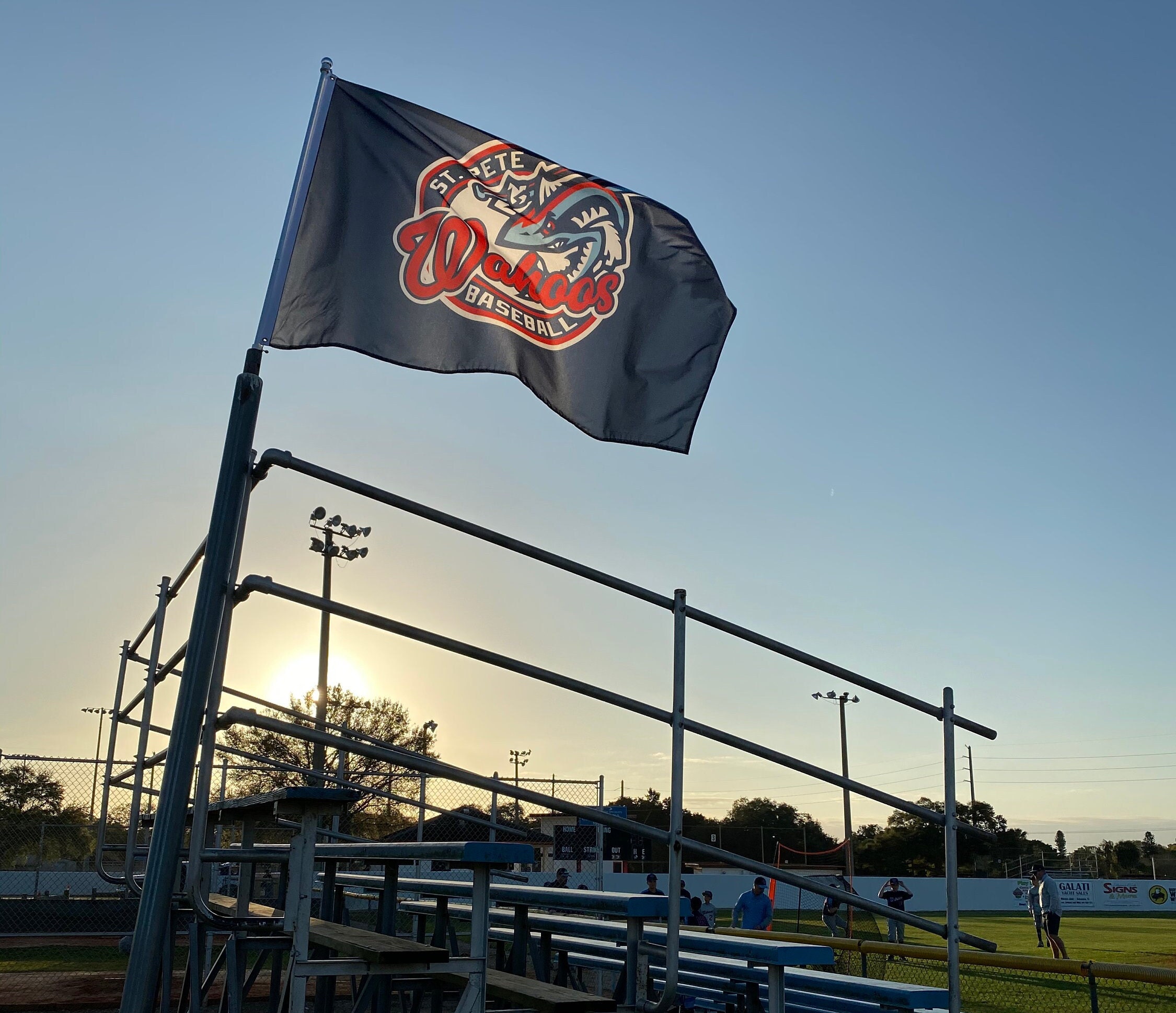 Custom Youth Sports Team Flag - Personalized Design, High-quality ...