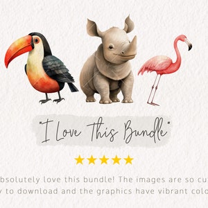 Baby Jungle Animals Clipart, Watercolor Jungle Clip Art Bundle, Jungle ...