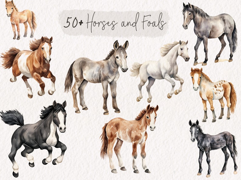 Watercolor Horse Clipart Bundle, Cute Horse Clip Art Set, Horse PNG ...