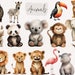 Baby Jungle Animals Clipart, Watercolor Jungle Clip Art Bundle, Jungle ...