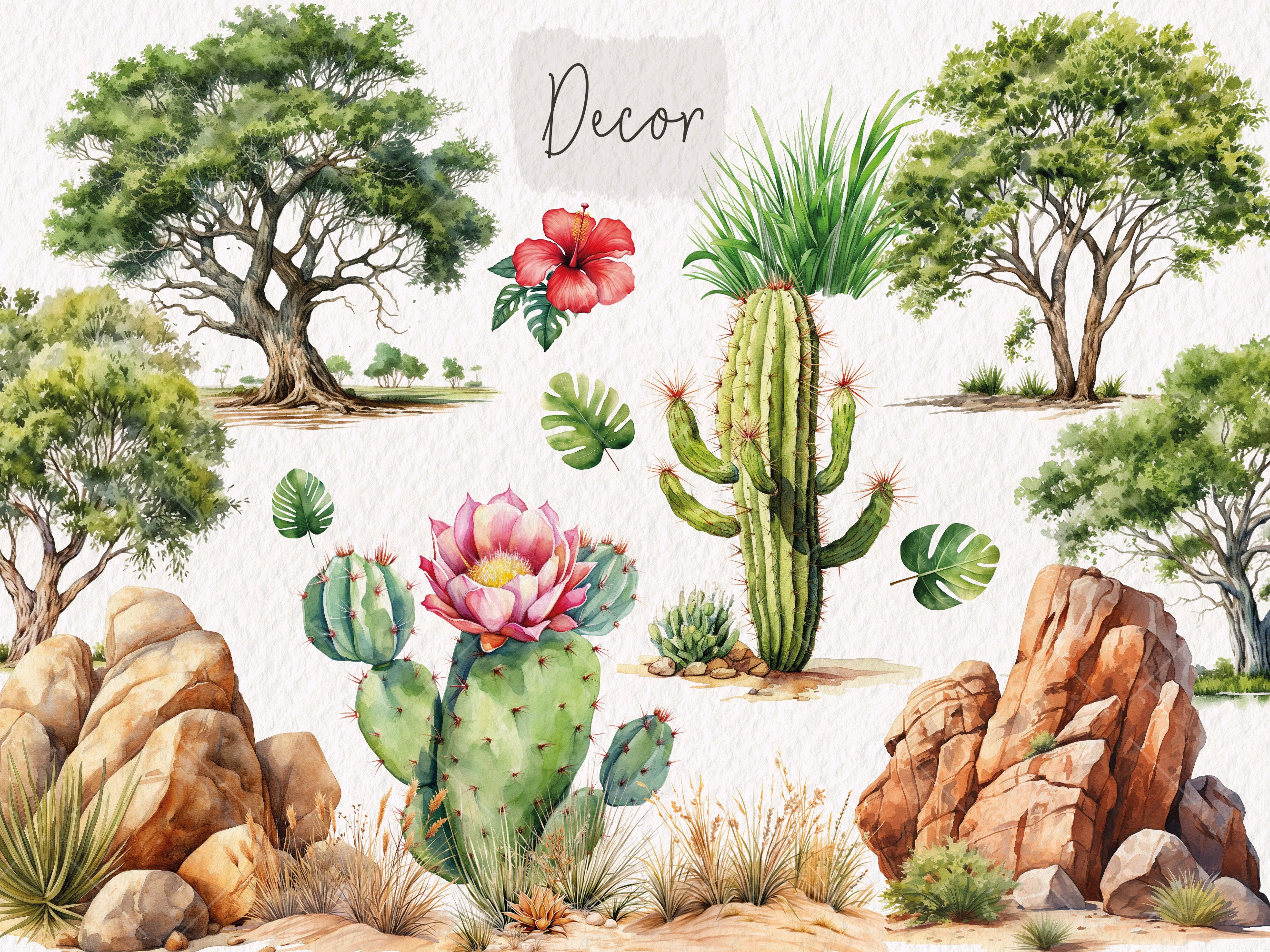 Paquete de imágenes prediseñadas de animales de Safari en acuarela ...