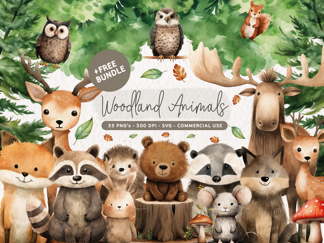 Woodland Animals Clipart Bundle, Cute Forest Animals PNG, Watercolor ...