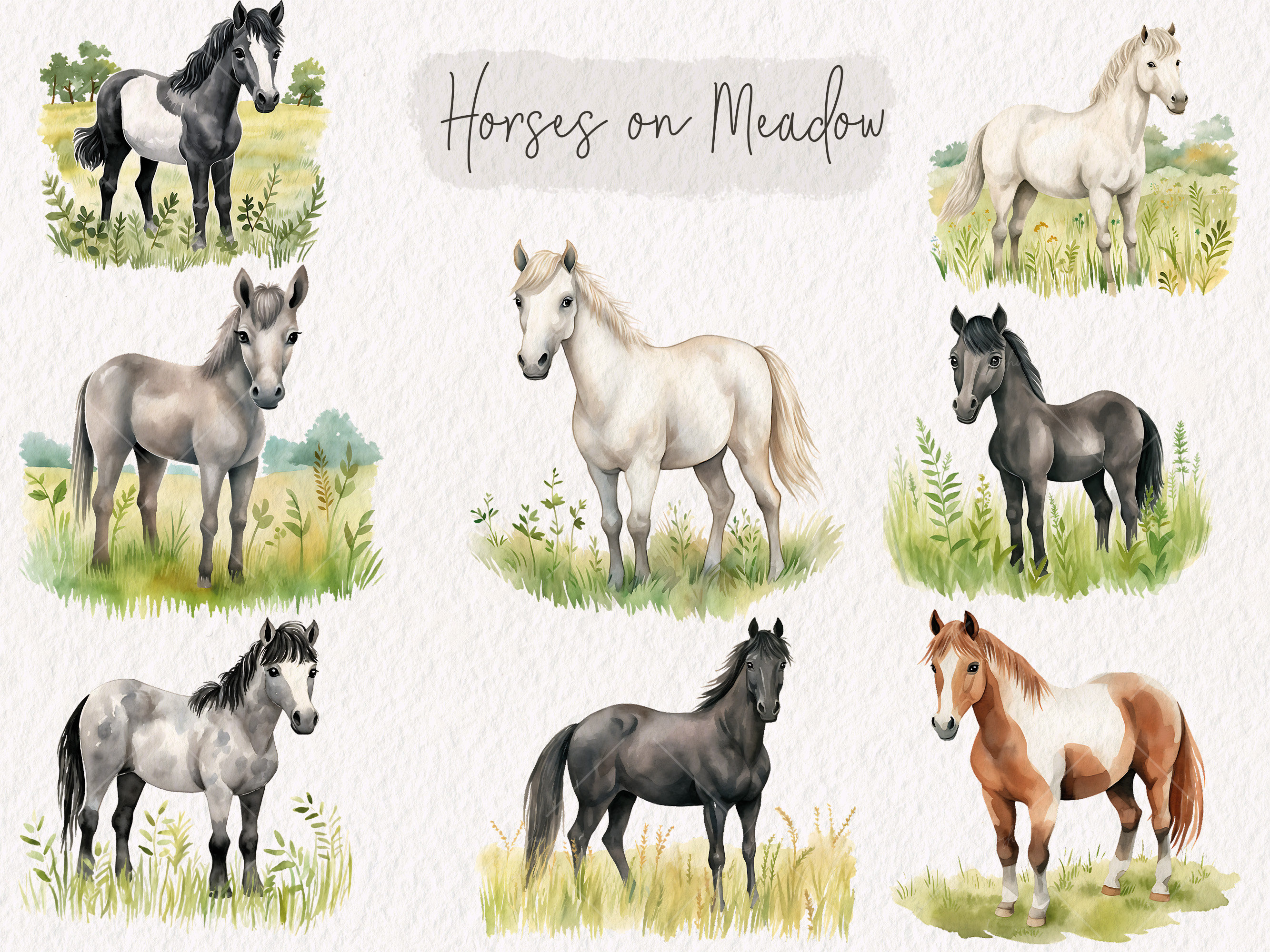 Watercolor Horse Clipart Bundle, Cute Horse Clip Art Set, Horse PNG ...