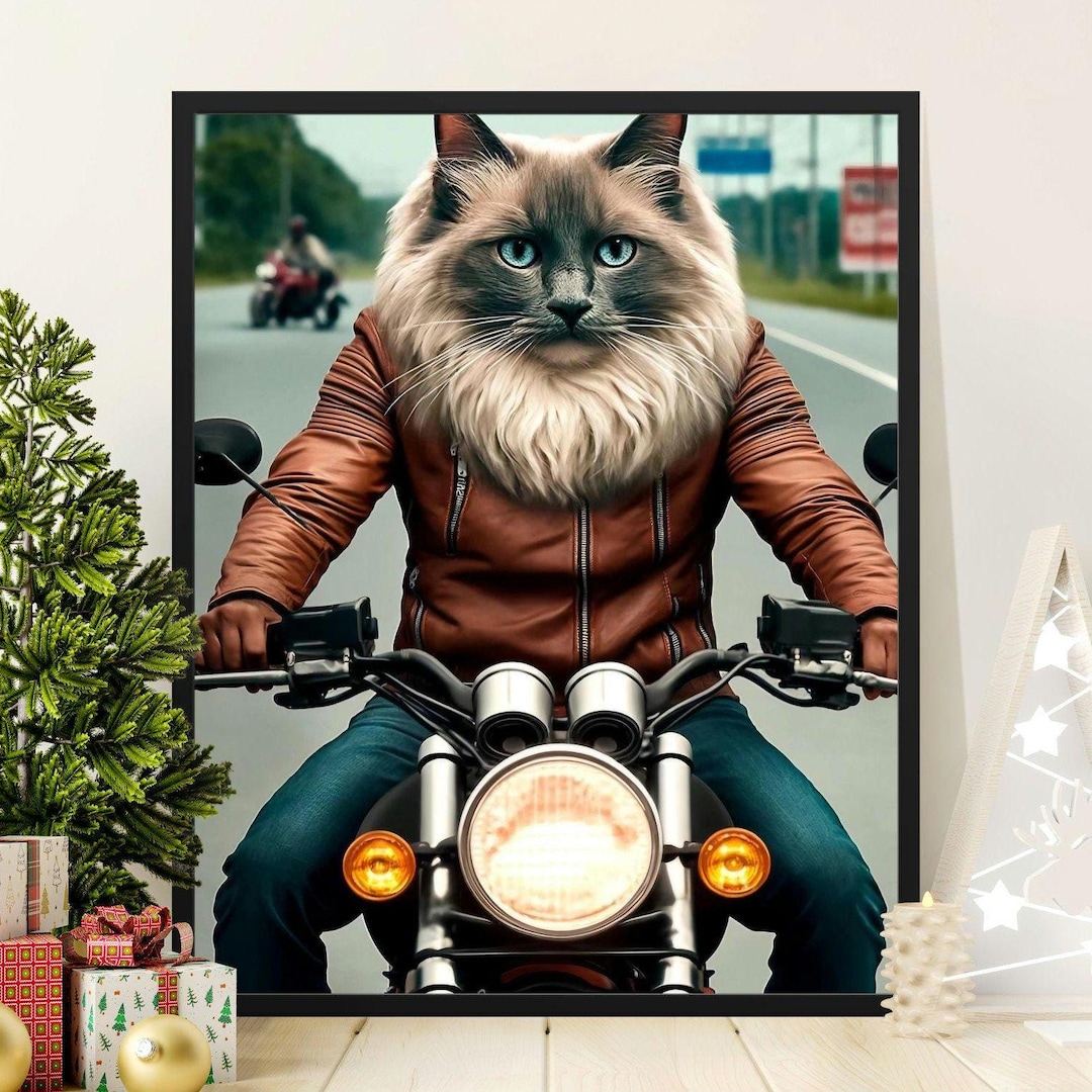 Cool Cat on Motorcycle Wall Art, Funny Cat Decor, Unique Animal Art ...