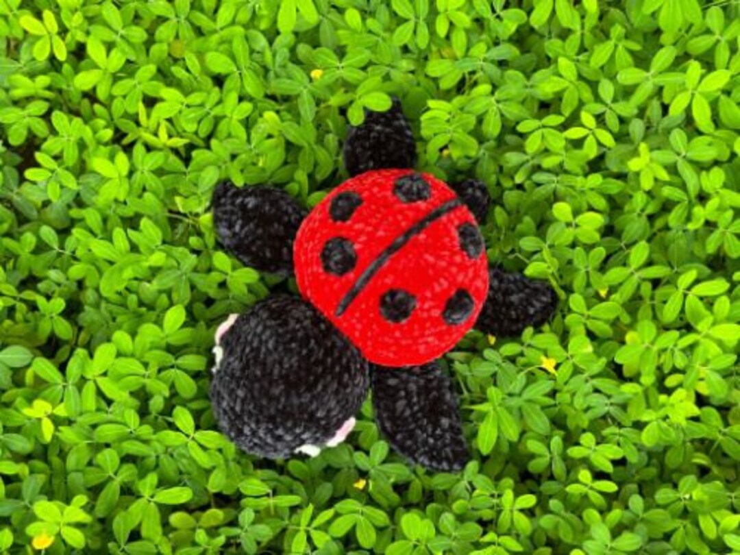 Ladybug Turtle Crochet, Crochet Turtle Amigurumi - Etsy