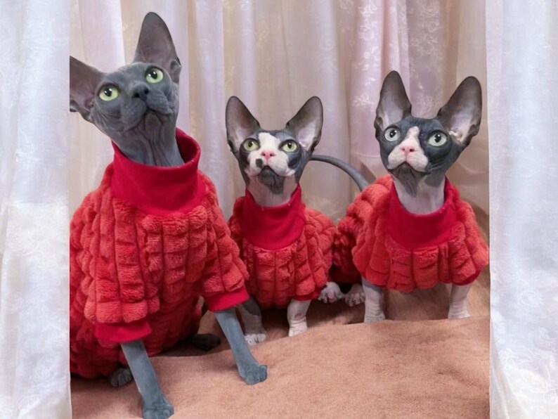 Warm Sphynx Cat Turtleneck Sweater - Etsy