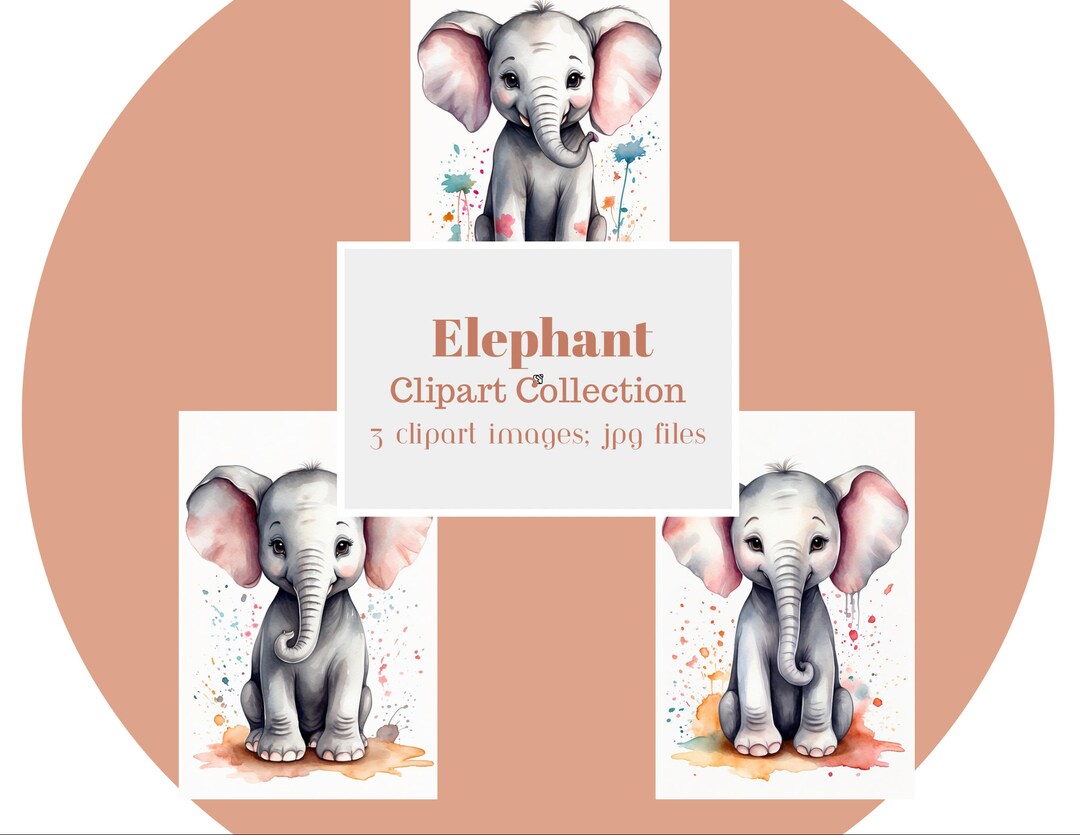Elephant Watercolor Clip Art Collection Instant PNG Downloads - Etsy