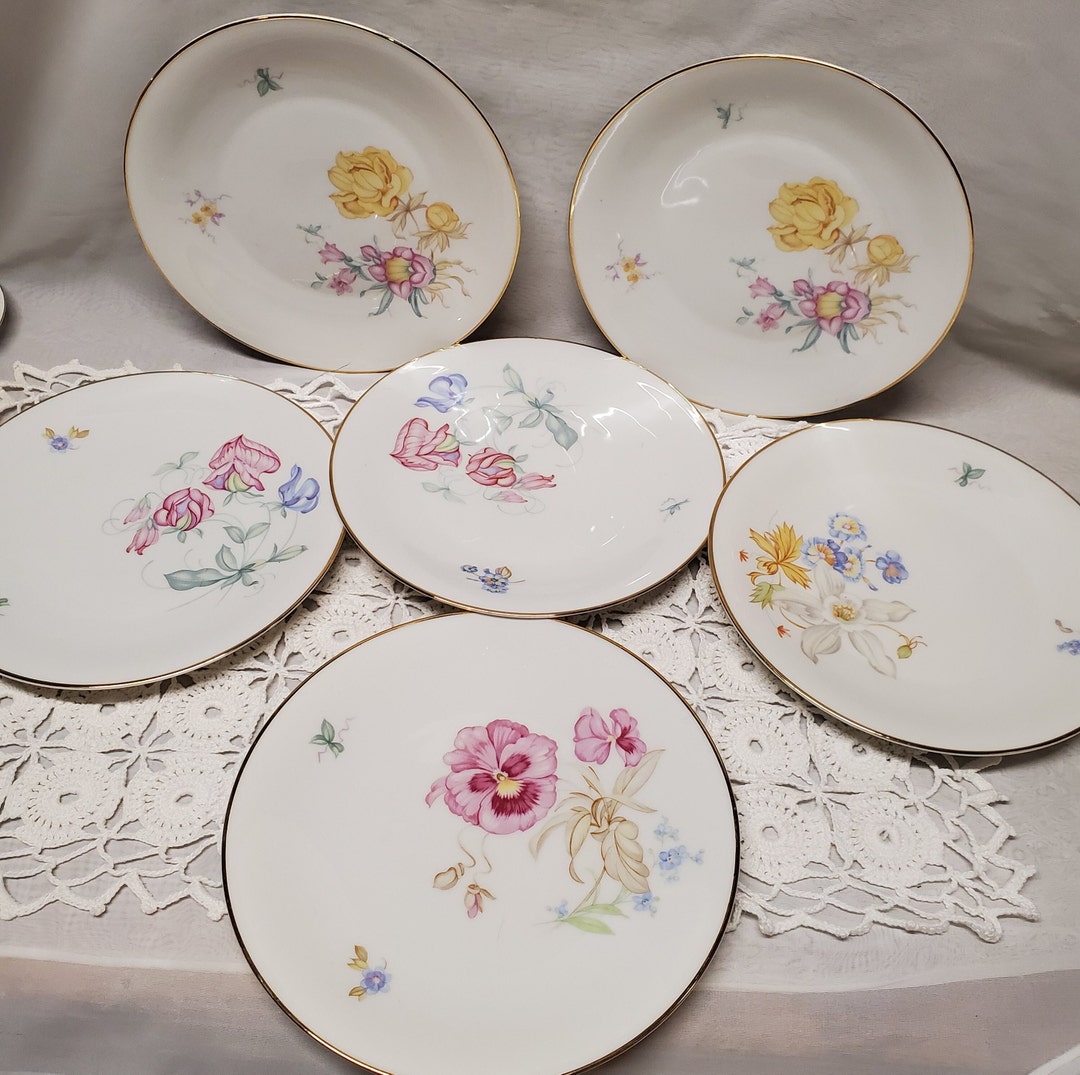 H& Co Selb Bavaria Heinrich 6 PORCELAIN Plates Set With Flowers - Etsy