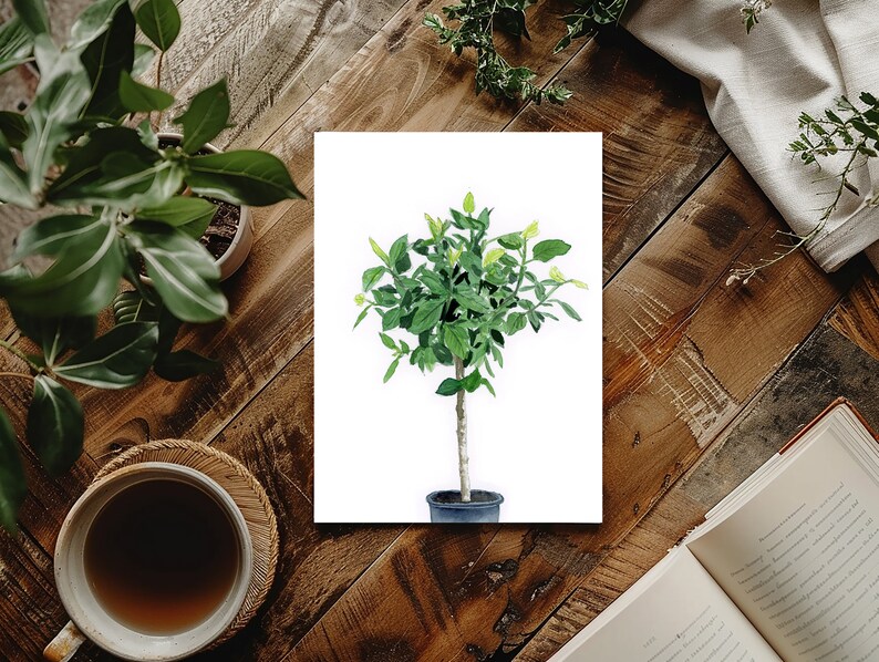 Ficus Audrey Green Plant Watercolor Wall Art Print - Etsy