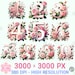 Watercolor Pink Rose Floral Alphabet & Number PNG, Flower Clip Art ...