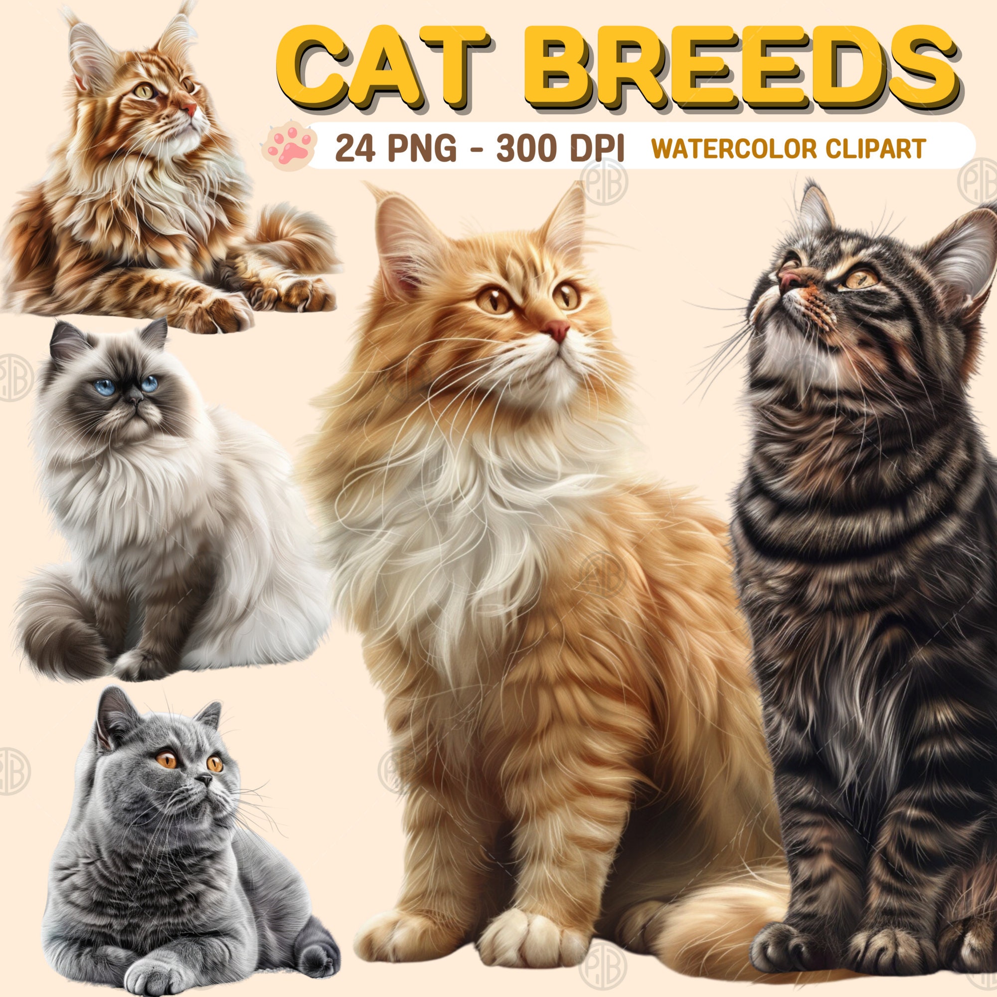Watercolor 24 Cats Breeds PNG, Cute Kitten Clip Art Portrait, Funny ...