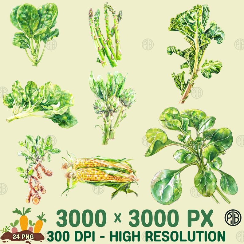 Watercolor Farm Vegetables PNG, Fresh Vegetable Clip Art, Healthy Food ...