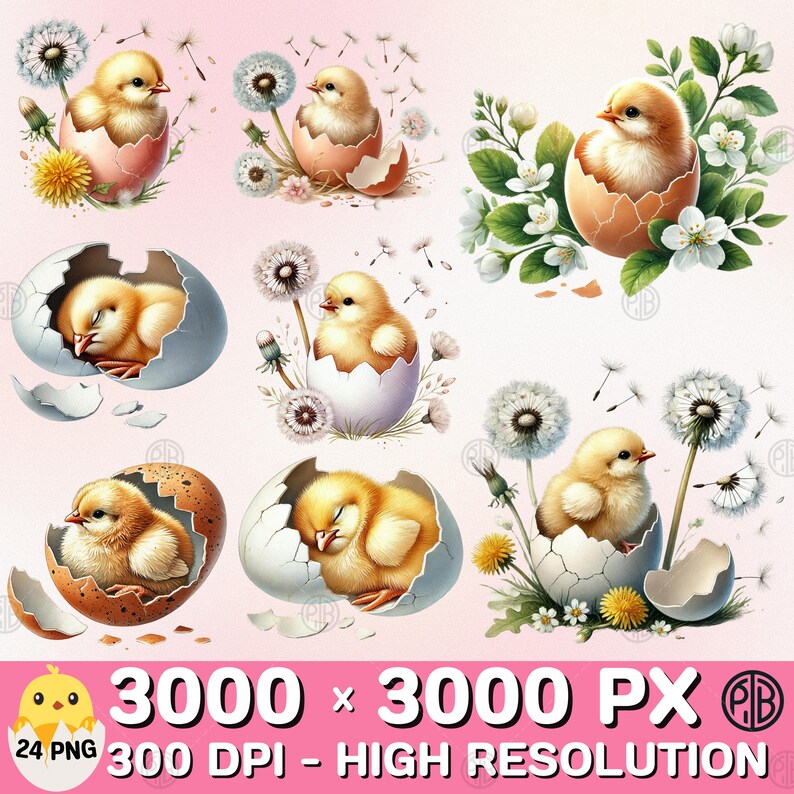 Watercolor Baby Bird PNG, Eggshell Clip Art, Cute Chick Clipart, Nature ...