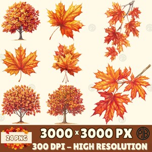 Watercolor Autumn Maple Leaves PNG, Vibrant Clip Art, Fall Leaf Clipart ...