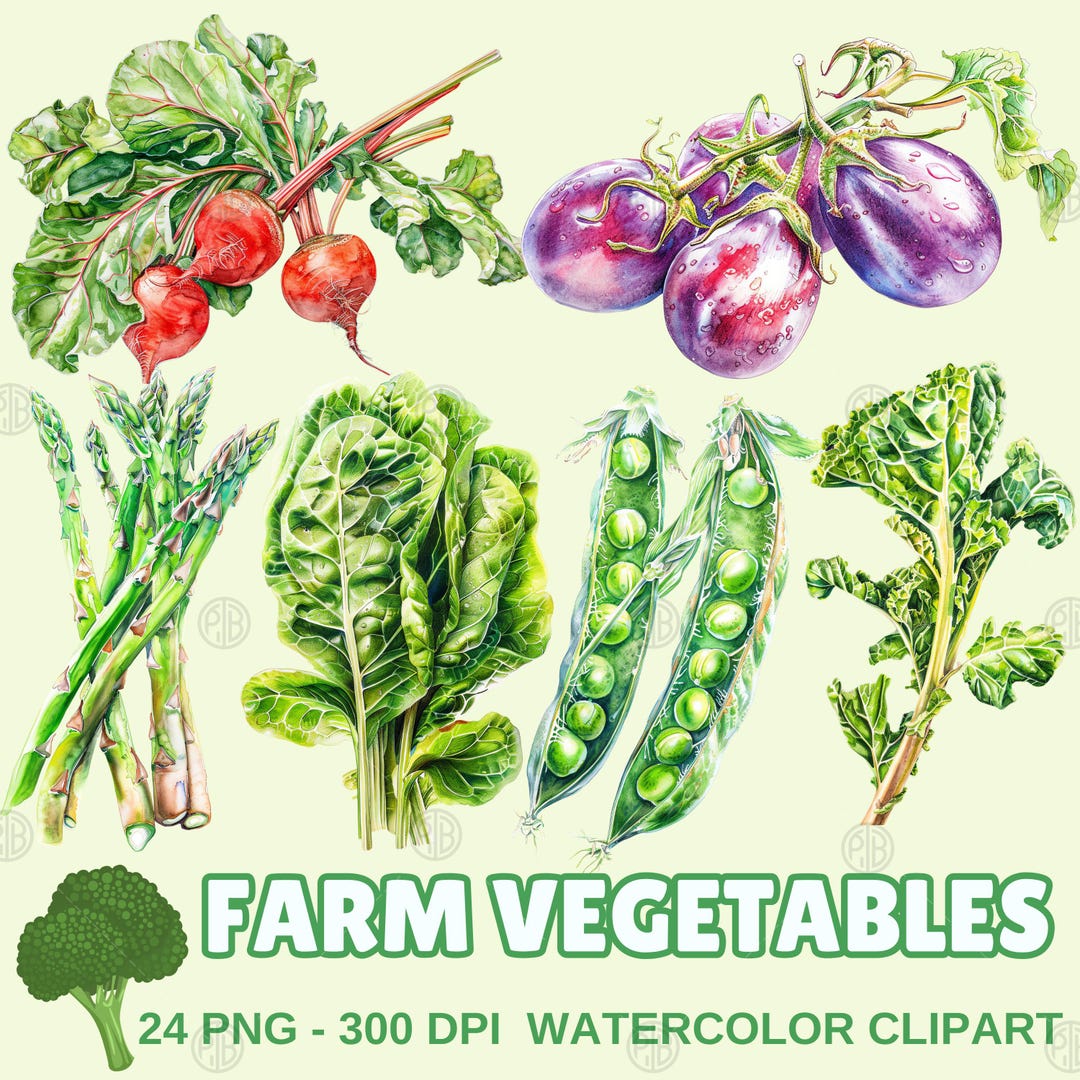 Watercolor Farm Vegetables PNG, Fresh Vegetable Clip Art, Healthy Food ...