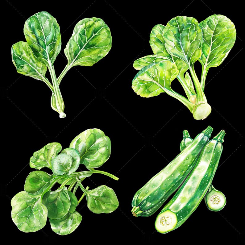 Watercolor Farm Vegetables PNG, Fresh Vegetable Clip Art, Healthy Food ...