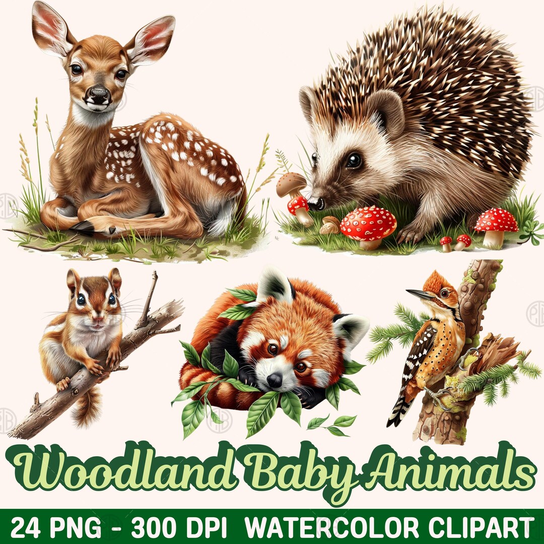 Watercolor Woodland Baby Animals PNG, Babies Animal Clip Art, Forest ...