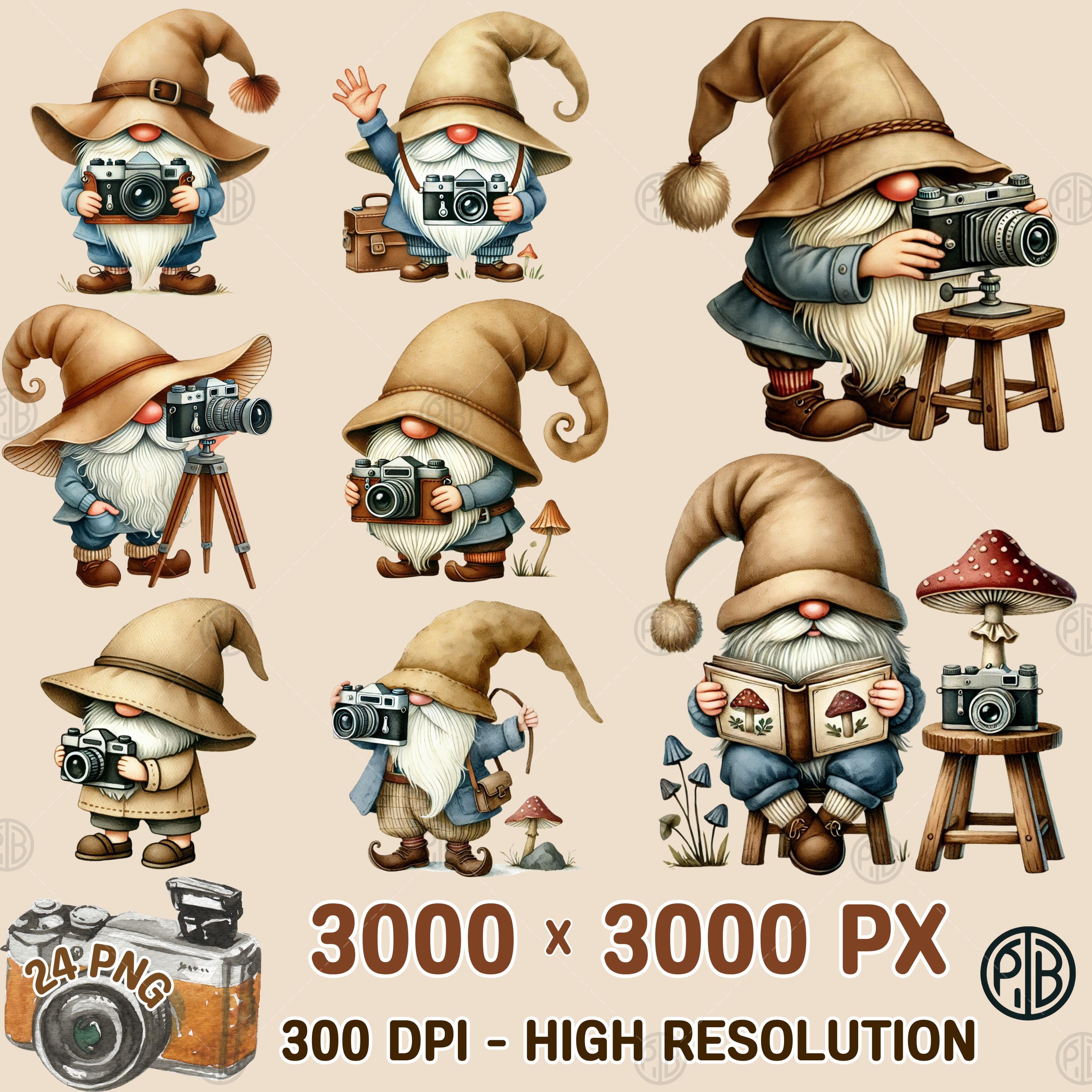 Watercolor Cute Gnome Photographer PNG, Camera Gnomes Clip Art ...
