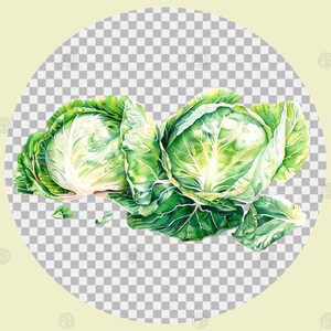 Watercolor Farm Vegetables PNG, Fresh Vegetable Clip Art, Healthy Food ...