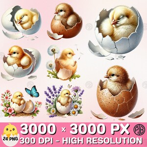 Watercolor Baby Bird PNG, Eggshell Clip Art, Cute Chick Clipart, Nature ...