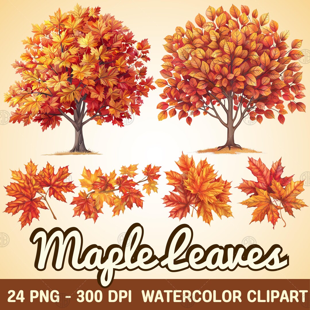 Watercolor Autumn Maple Leaves PNG, Vibrant Clip Art, Fall Leaf Clipart ...