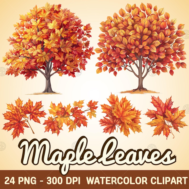 Watercolor Autumn Maple Leaves PNG, Vibrant Clip Art, Fall Leaf Clipart ...