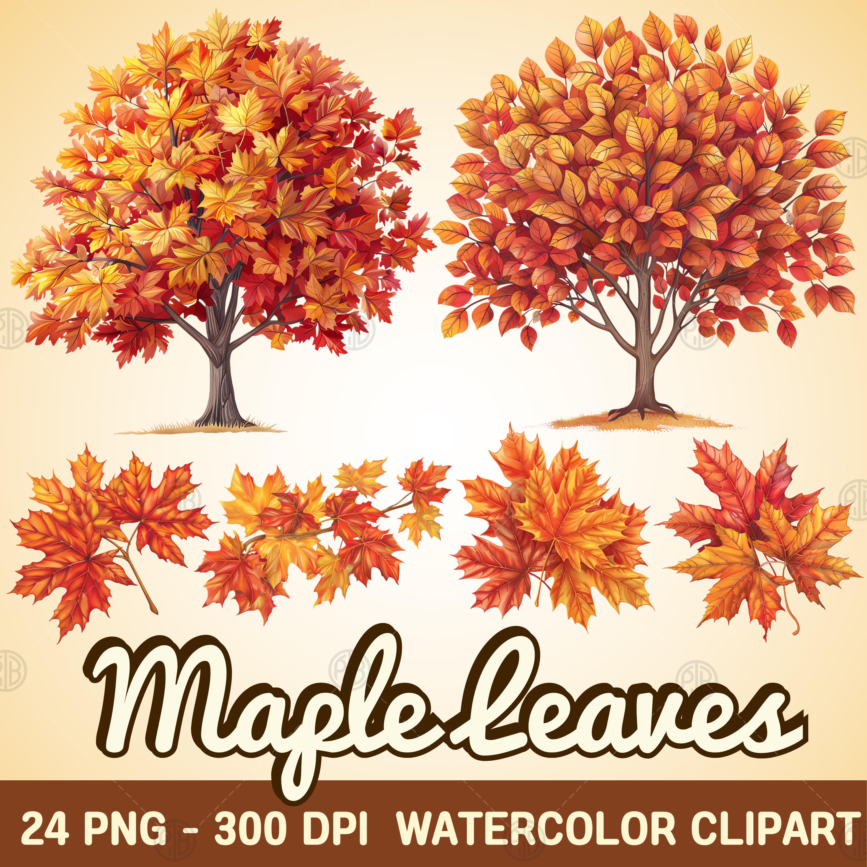 Watercolor Autumn Maple Leaves PNG, Vibrant Clip Art, Fall Leaf Clipart ...