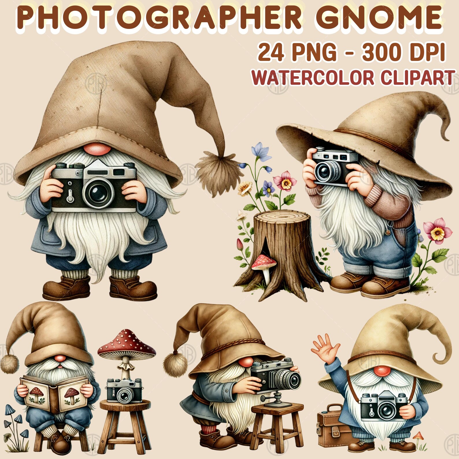 Watercolor Cute Gnome Photographer PNG, Camera Gnomes Clip Art ...