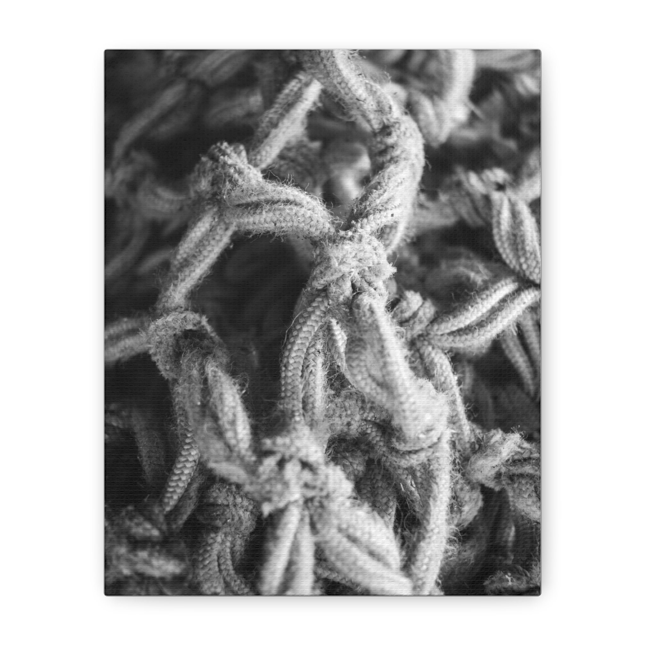 Net Modern Matte Canvas Print, Stretched, 1.25 Wall Decor Art, Print on ...