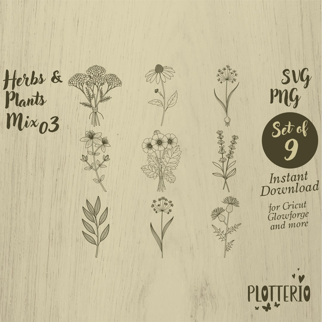 Blatt Plotterdatei CRICUT SVG Png Set, Botanische Silhouette Hochzeitsdeko Clipart Bundle ...