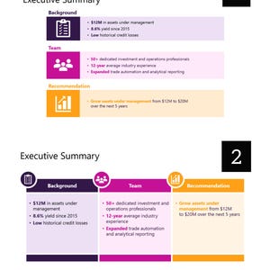 Executive Summary Slide Templates - Etsy