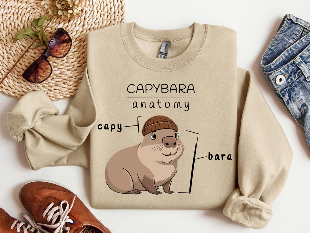 Capybara Shirt Gift Capybara Hoodie Capybara Sweatshirt Ironic Shirt ...