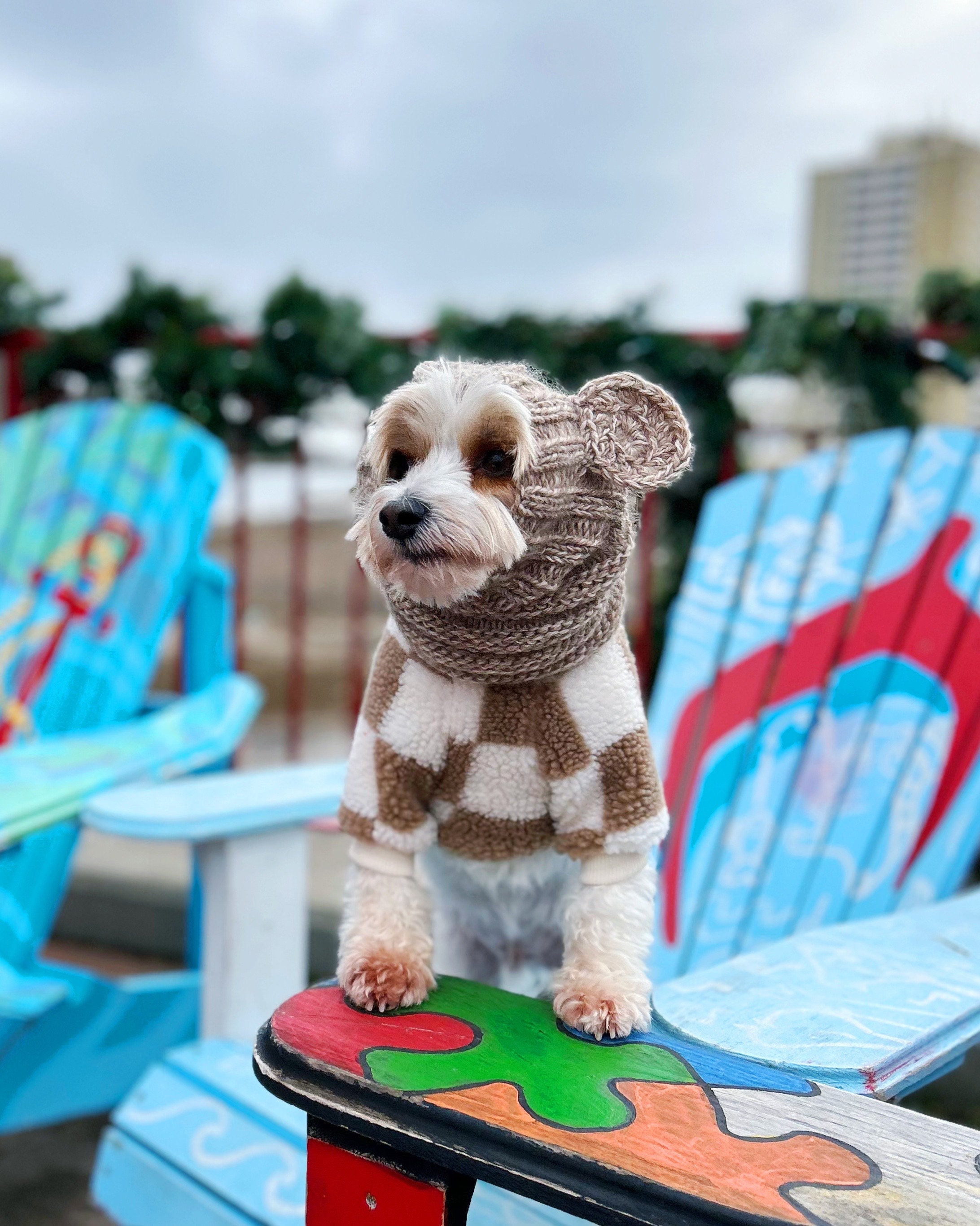 Digital Pattern: Olive Bear Snood - Etsy