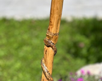 Red Diamondback Rattlesnake Hiking Stick, Hand Carved Snake Hiking ...