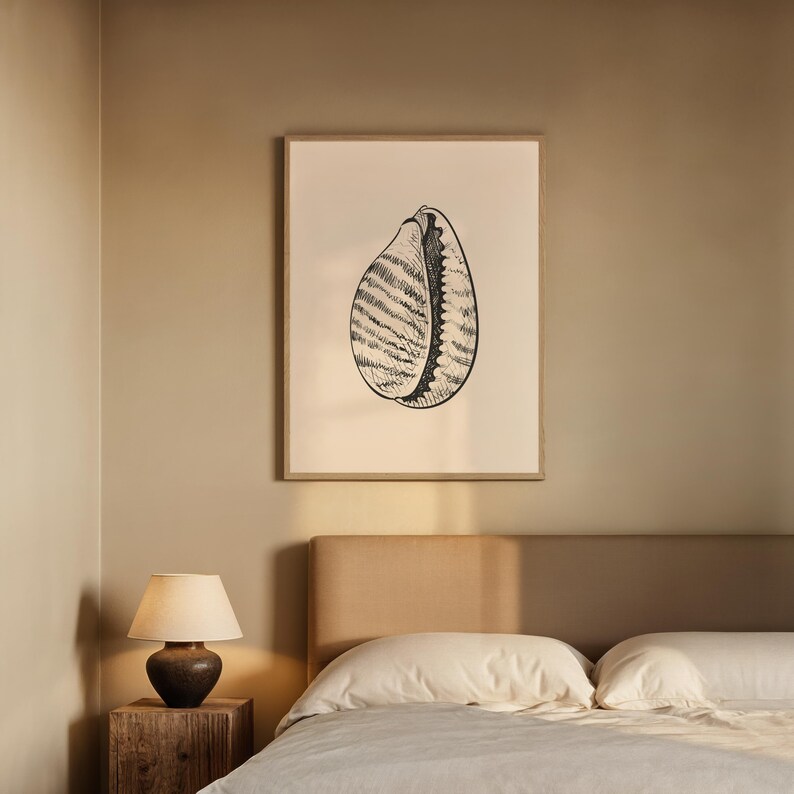 Seashell Line Drawing Art Prints - Black and White Coastal Set (digital ...