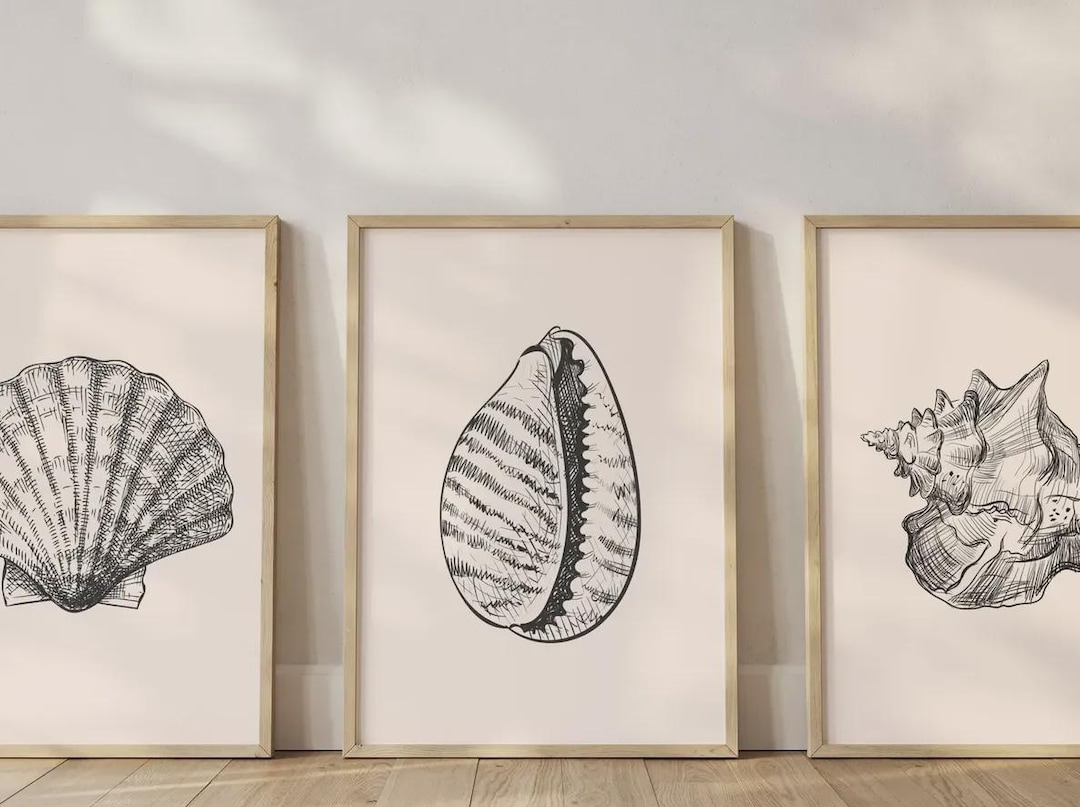 Seashell Line Drawing Art Prints - Black and White Coastal Set (digital ...