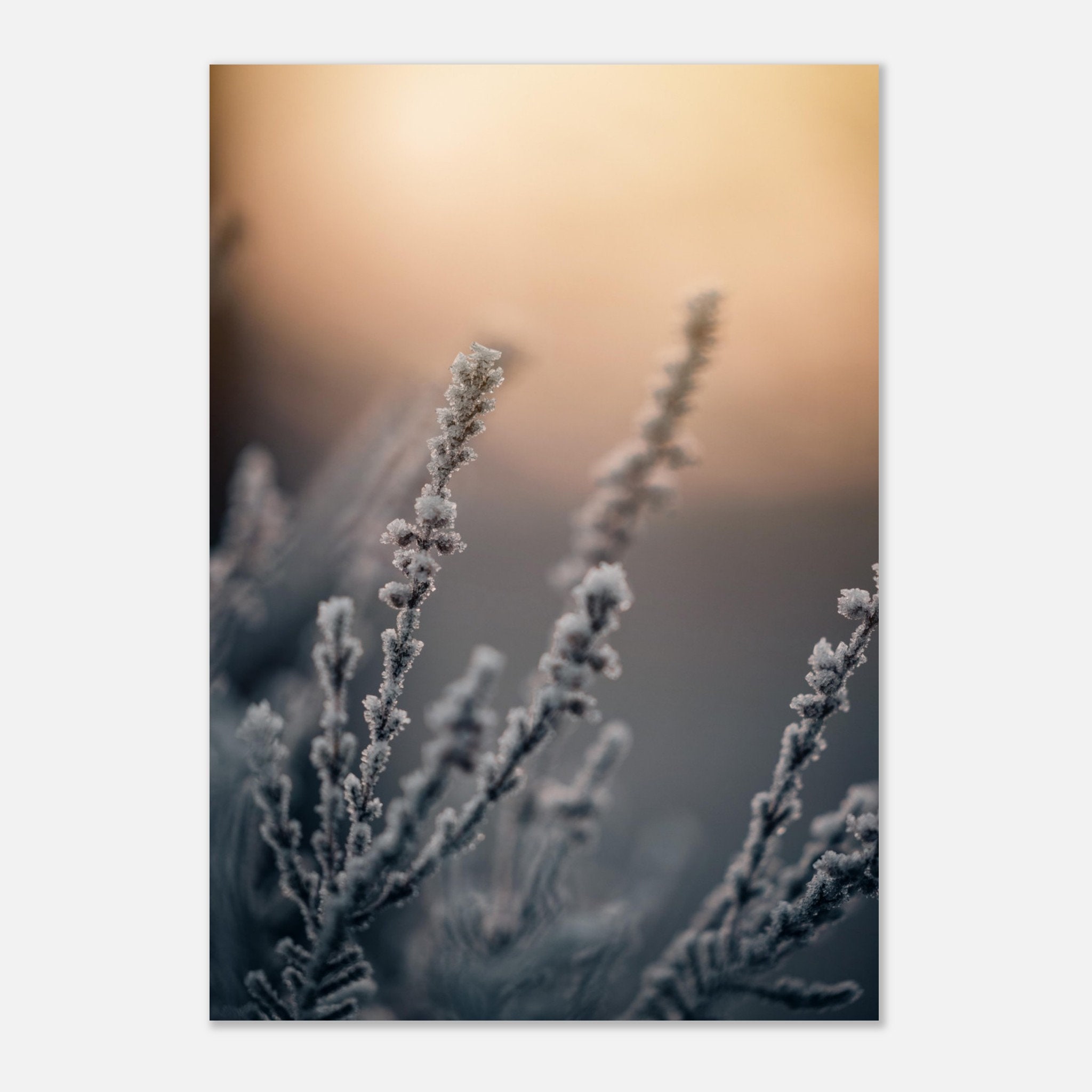 Frost Game Premium Matte Paper Poster - Etsy UK
