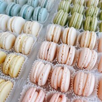Macaron Sampler 12 Set French Macarons, Includes All Specialty Favors ...