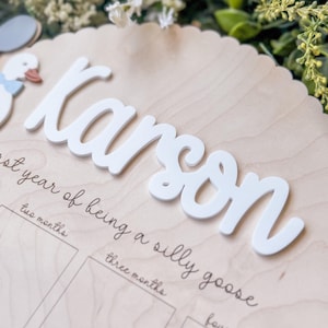 First Birthday Photo Sign, Silly Goose Birthday Photo Board, My First ...