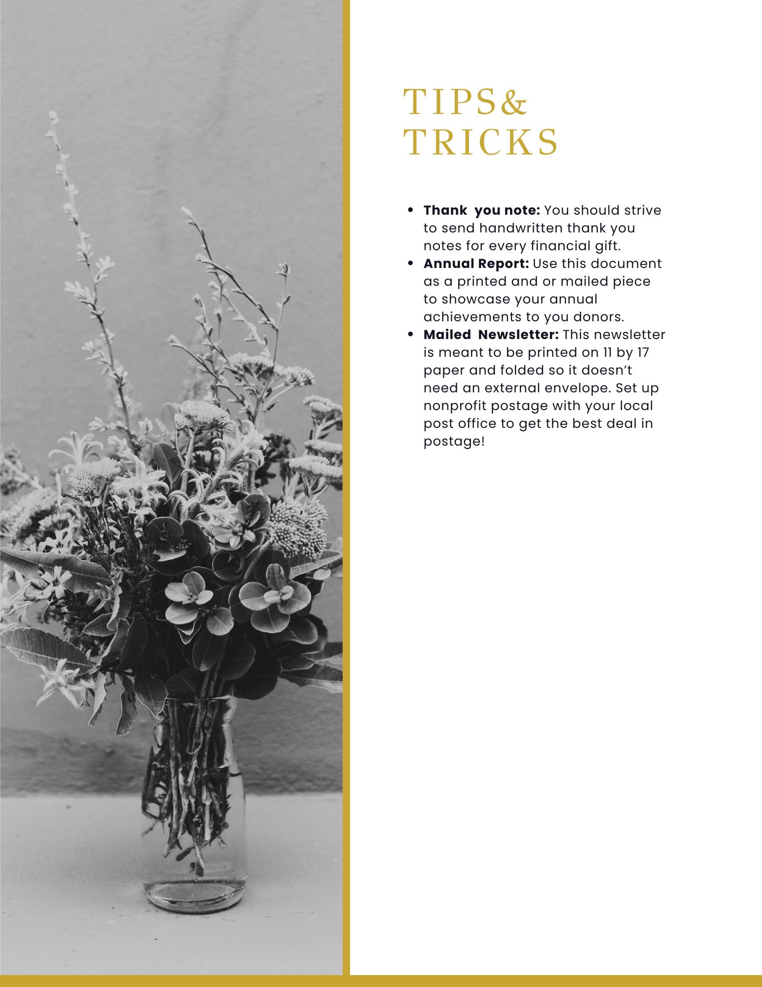 Editable Annual Report, Thank You Note, and Newsletter Template Kit - Etsy