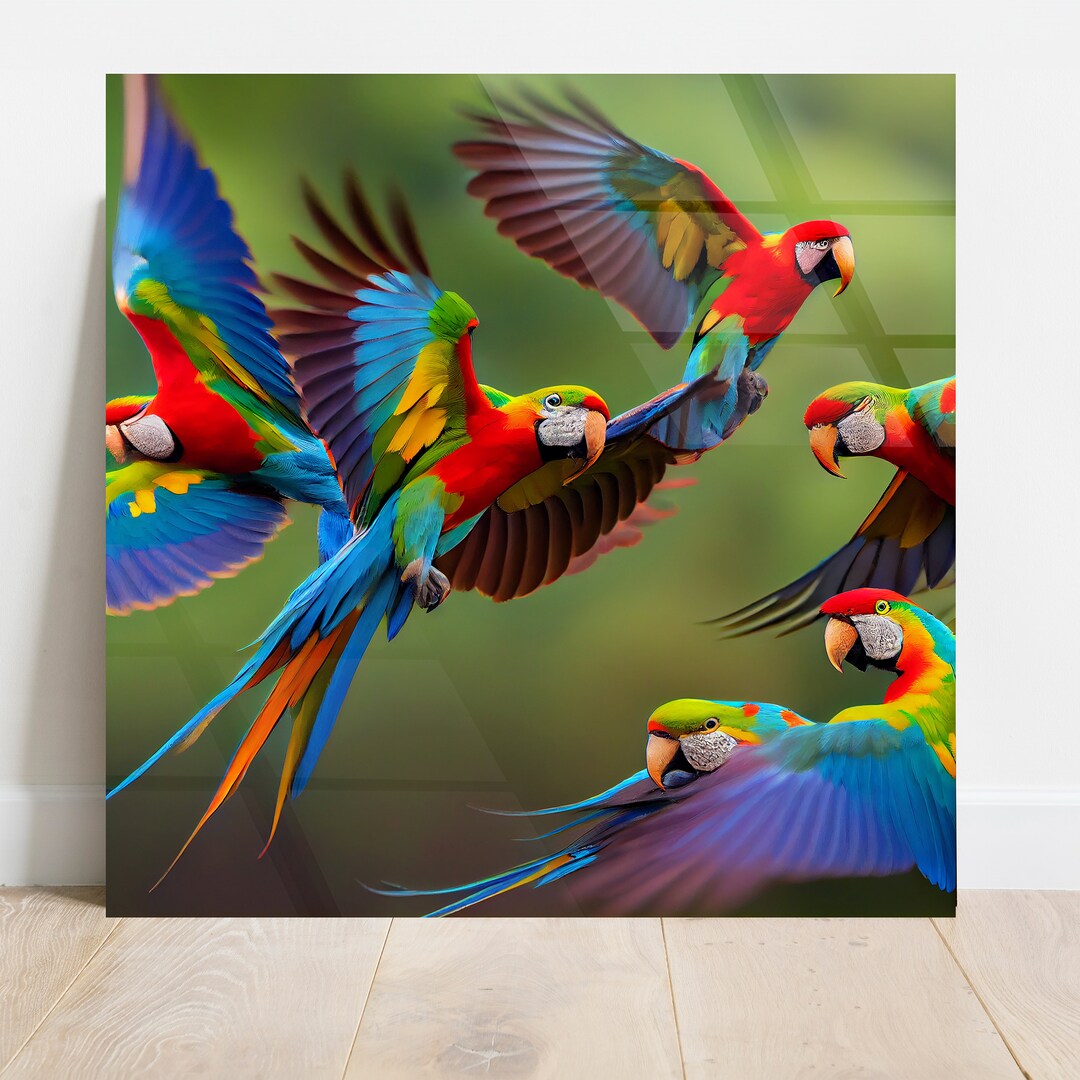 Colorful Birds Art Tempered Glass Wall Art, Colorful Printed Home Decor ...