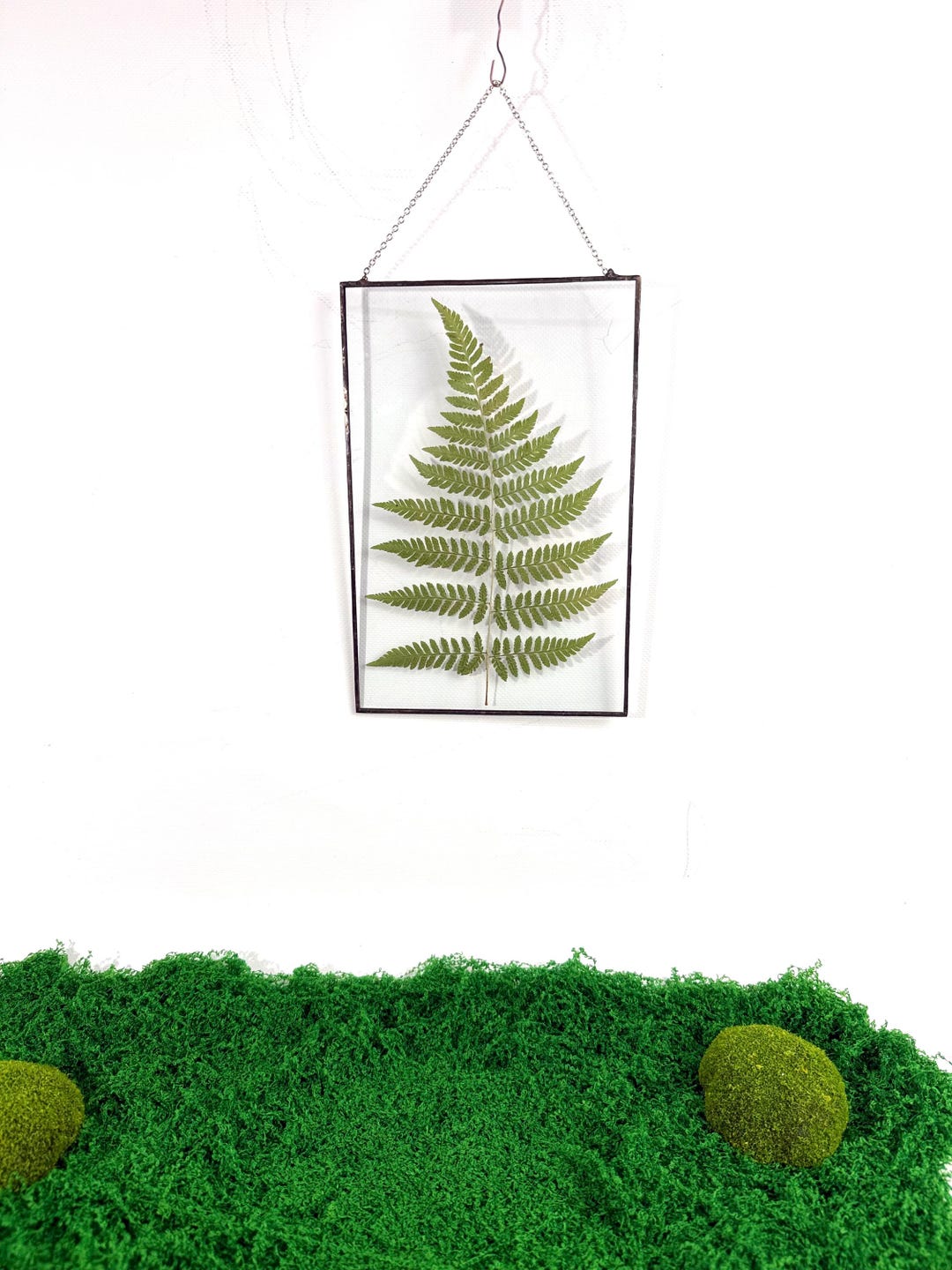 Pressed Fern in Glass Panel, Stained Glass Hanging Wall Art, Nature ...