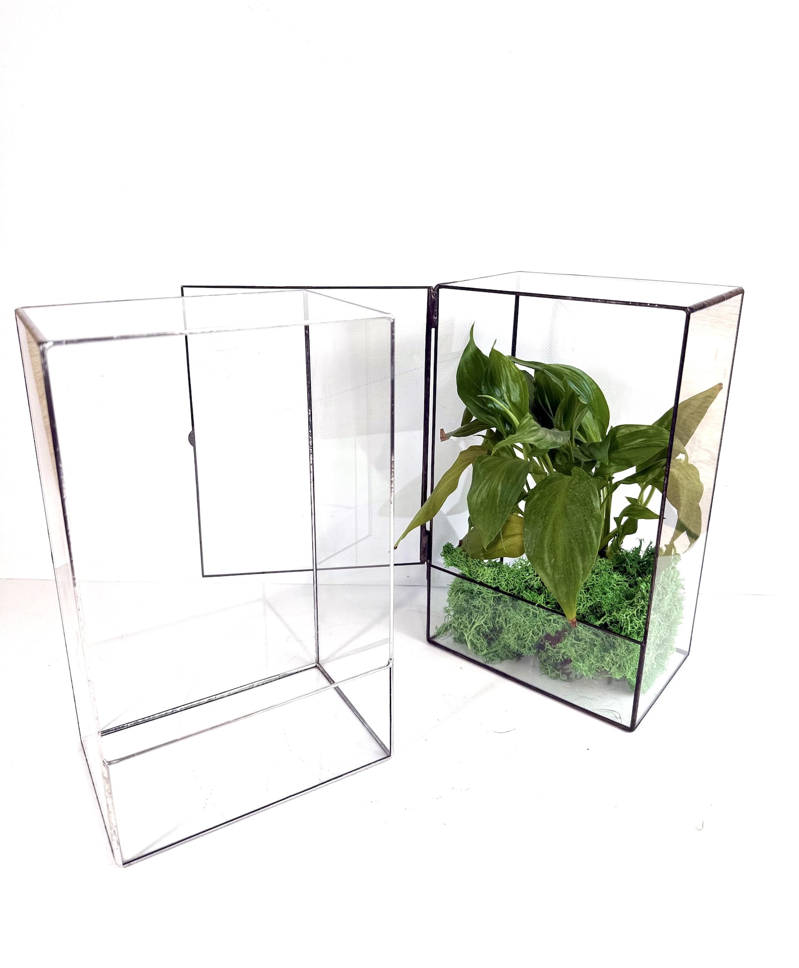 Tall Tabletop Terrarium, Stained Glass Plants Display, Minimalist ...