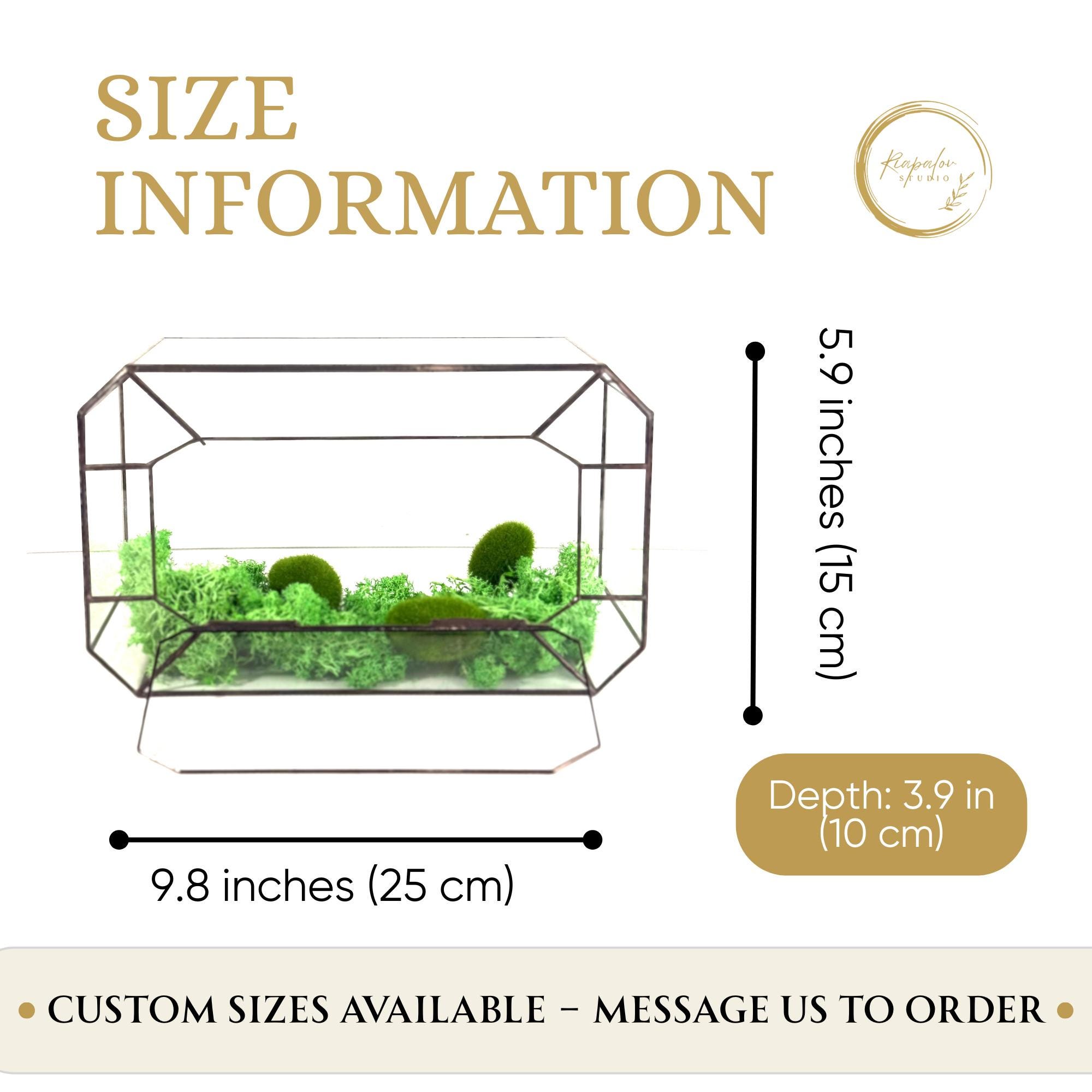 Glass Terrarium Box With Door, Geometric Plant Holder, Modern Mossarium ...