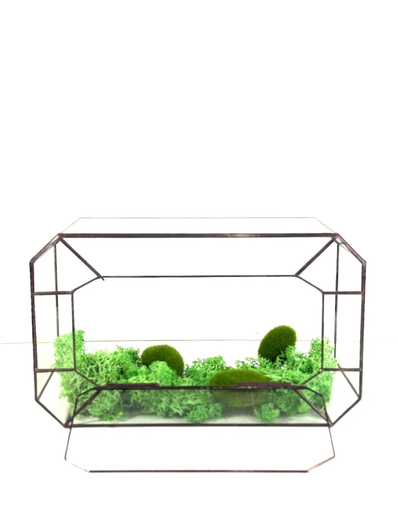 Glass Terrarium Box With Door, Geometric Plant Holder, Modern Mossarium ...