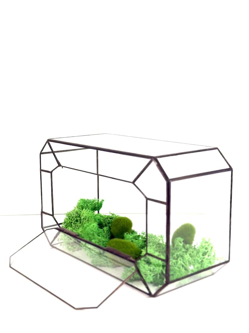 Glass Terrarium Box With Door, Geometric Plant Holder, Modern Mossarium ...